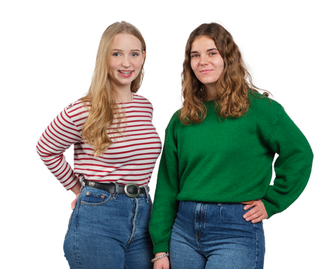 Institut Universitaire de Technologie d'Amiens